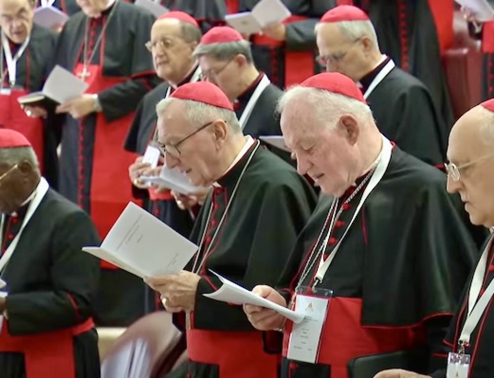 Someone you should know: America's first cardinal, John McCloskey ...